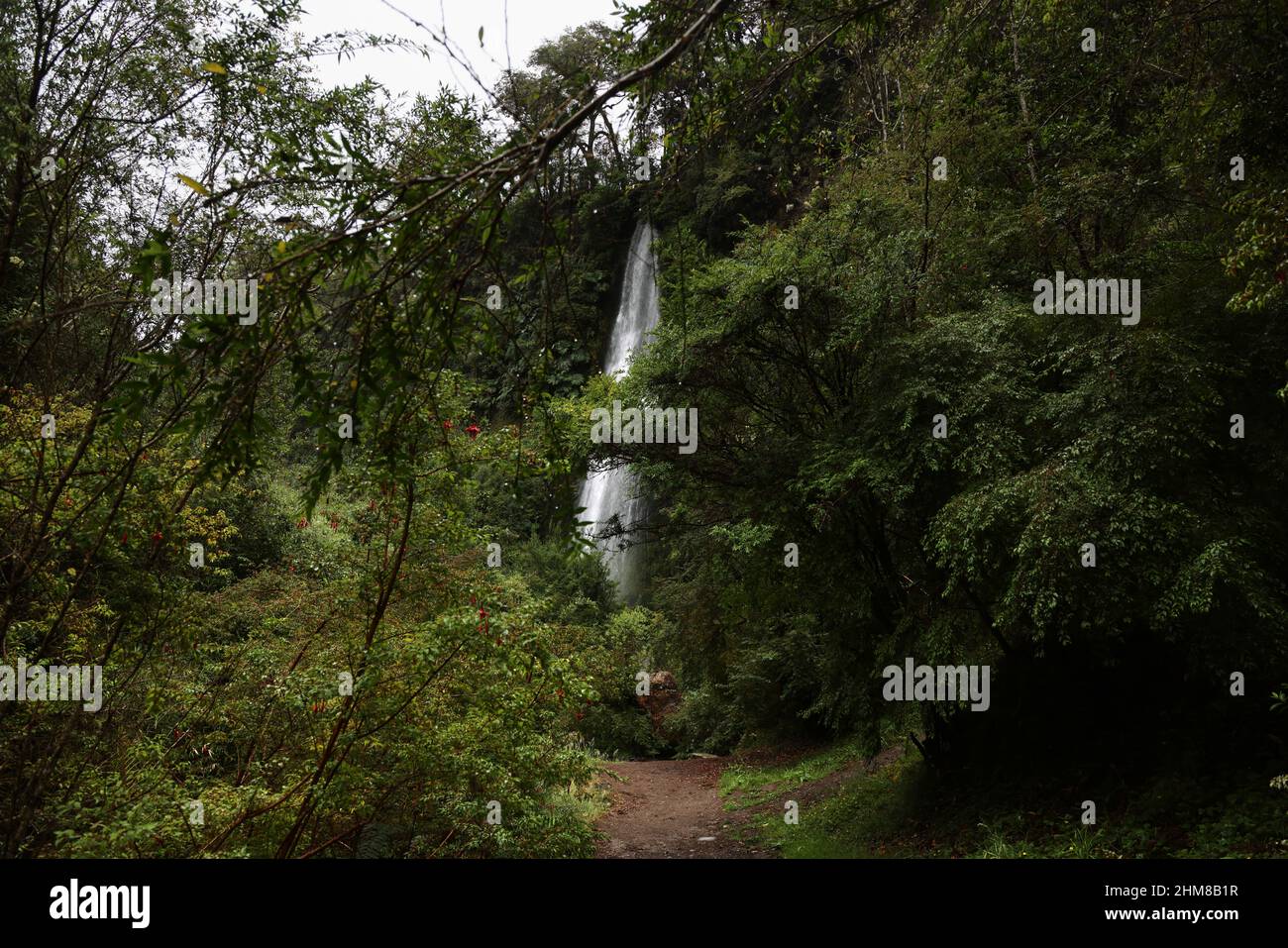 The Tocoihue waterfall in Chiloe Island, Chile Stock Photo - Alamy