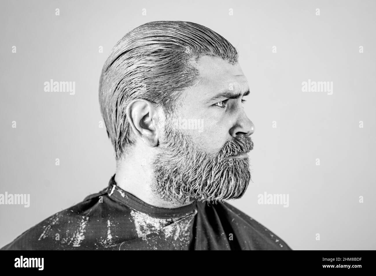 Portrait of man hair coloring. Bearded hipster guy. Process of a man ...