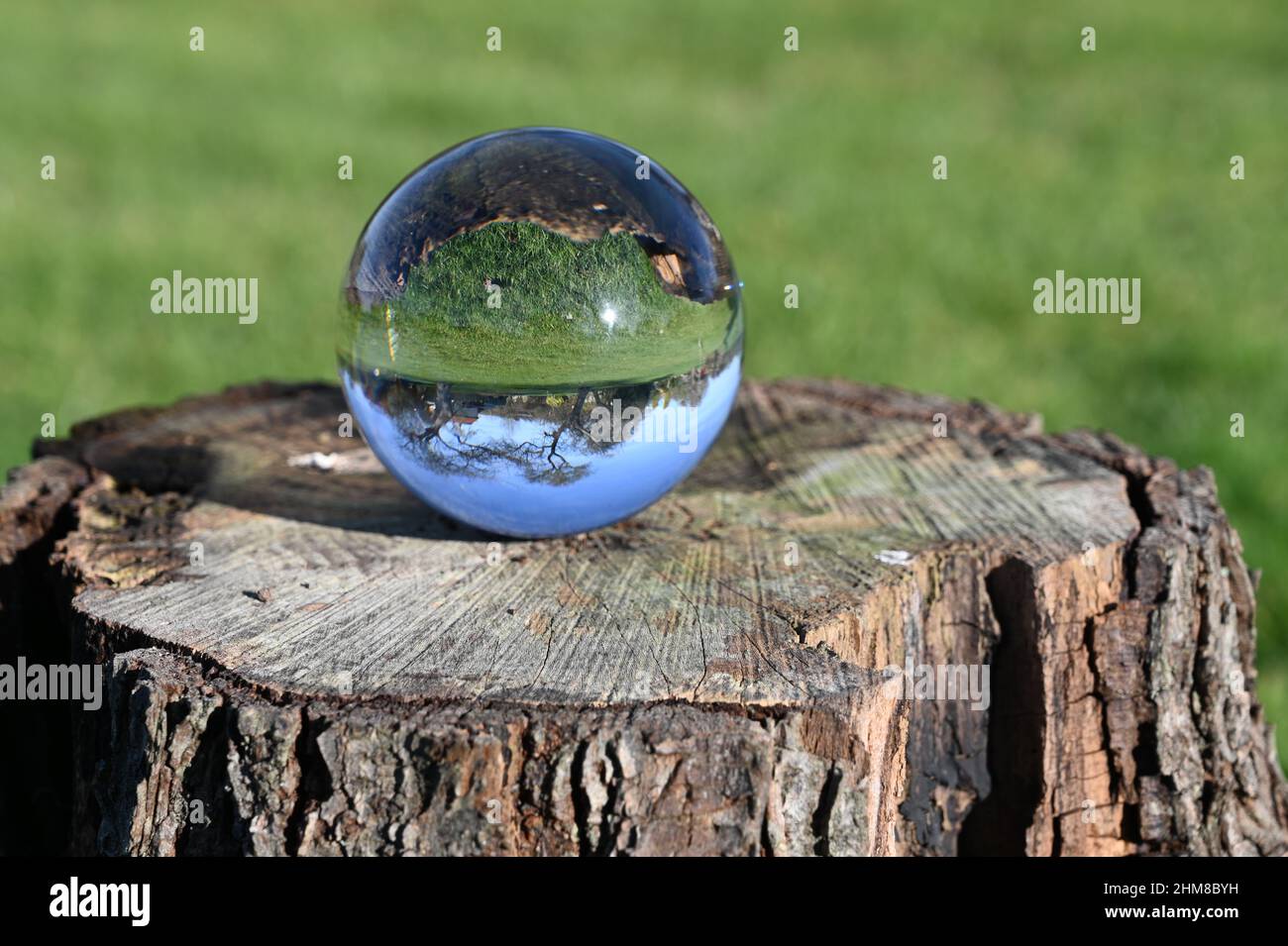 Environment concept, a crystal ball lies in the on a tree trunk ...