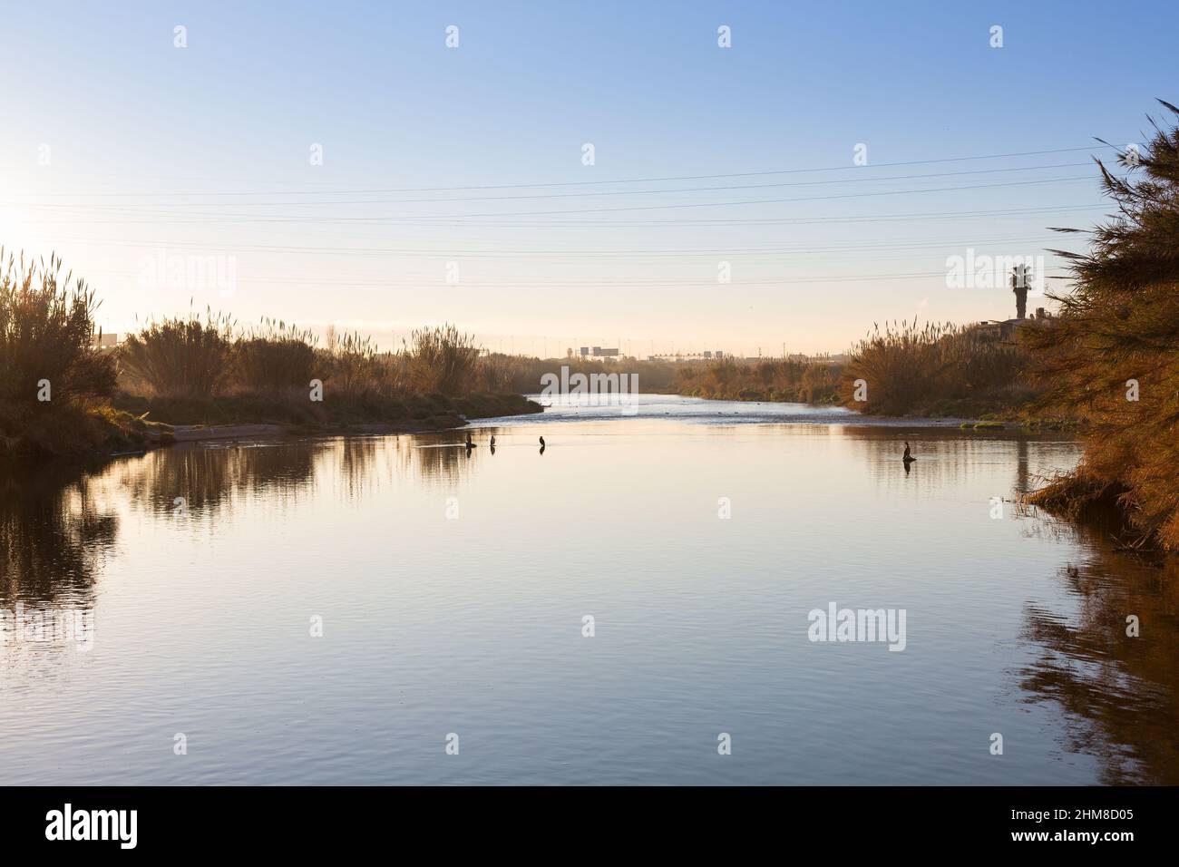 Relaxed view of the Llobregat river in the vicinity of the ...