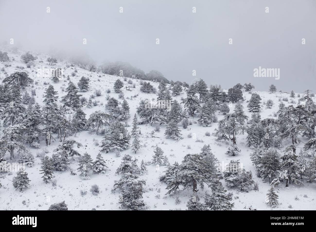 Tavas turkey hi-res stock photography and images - Alamy