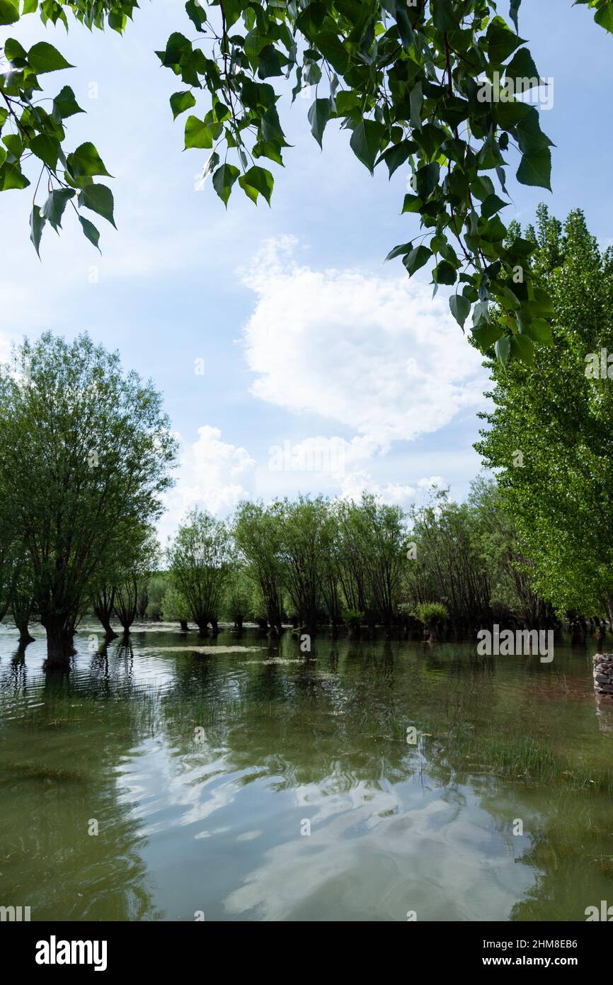 Isikli turkey hi-res stock photography and images - Alamy