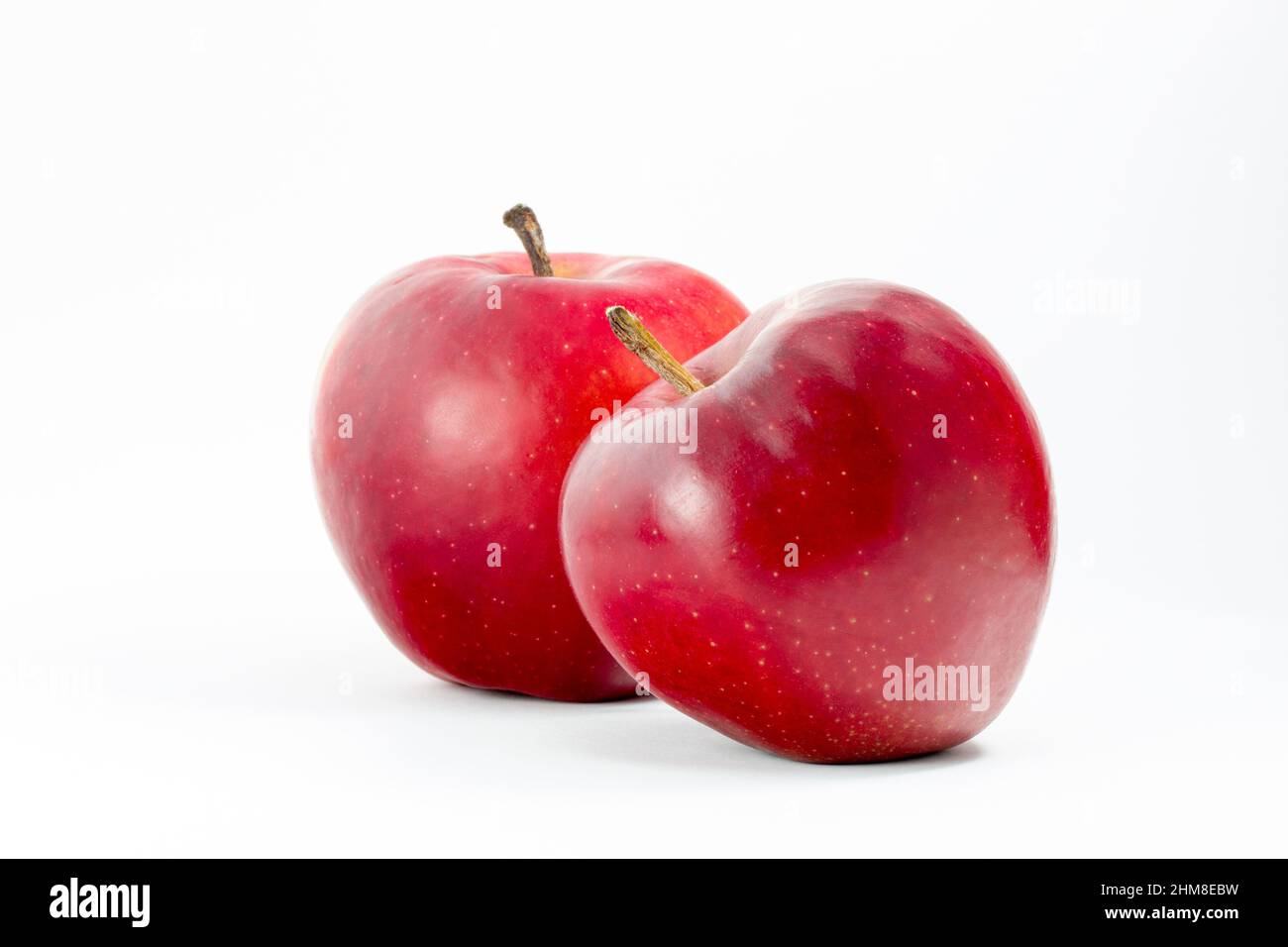 Two red apples isolated on white background Stock Photo - Alamy