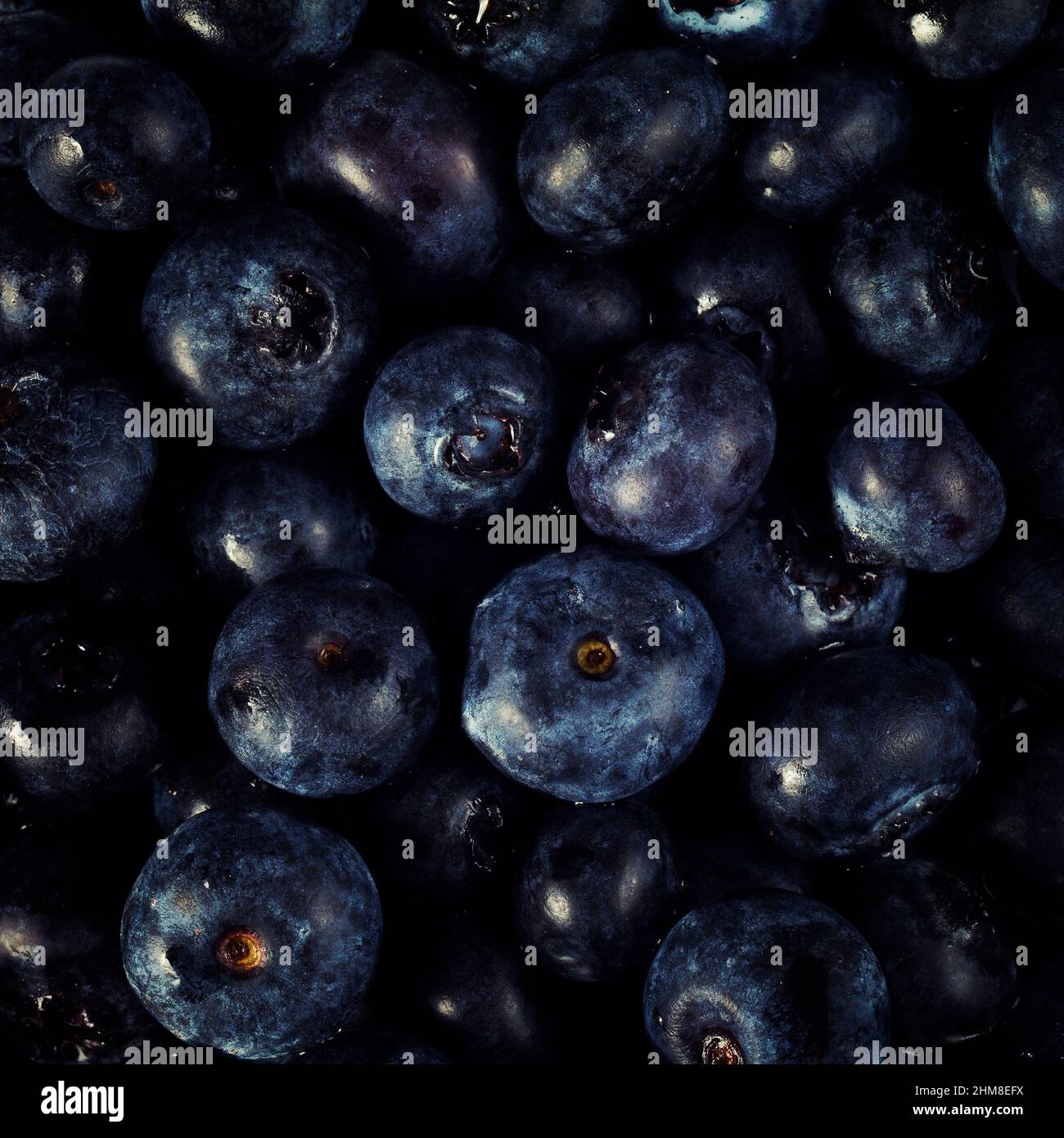 pile of blueberries closeup background Stock Photo - Alamy