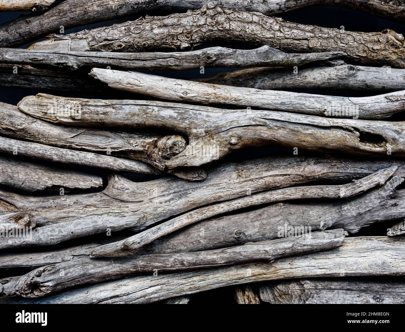 Weathered hardwood log hi-res stock photography and images - Alamy