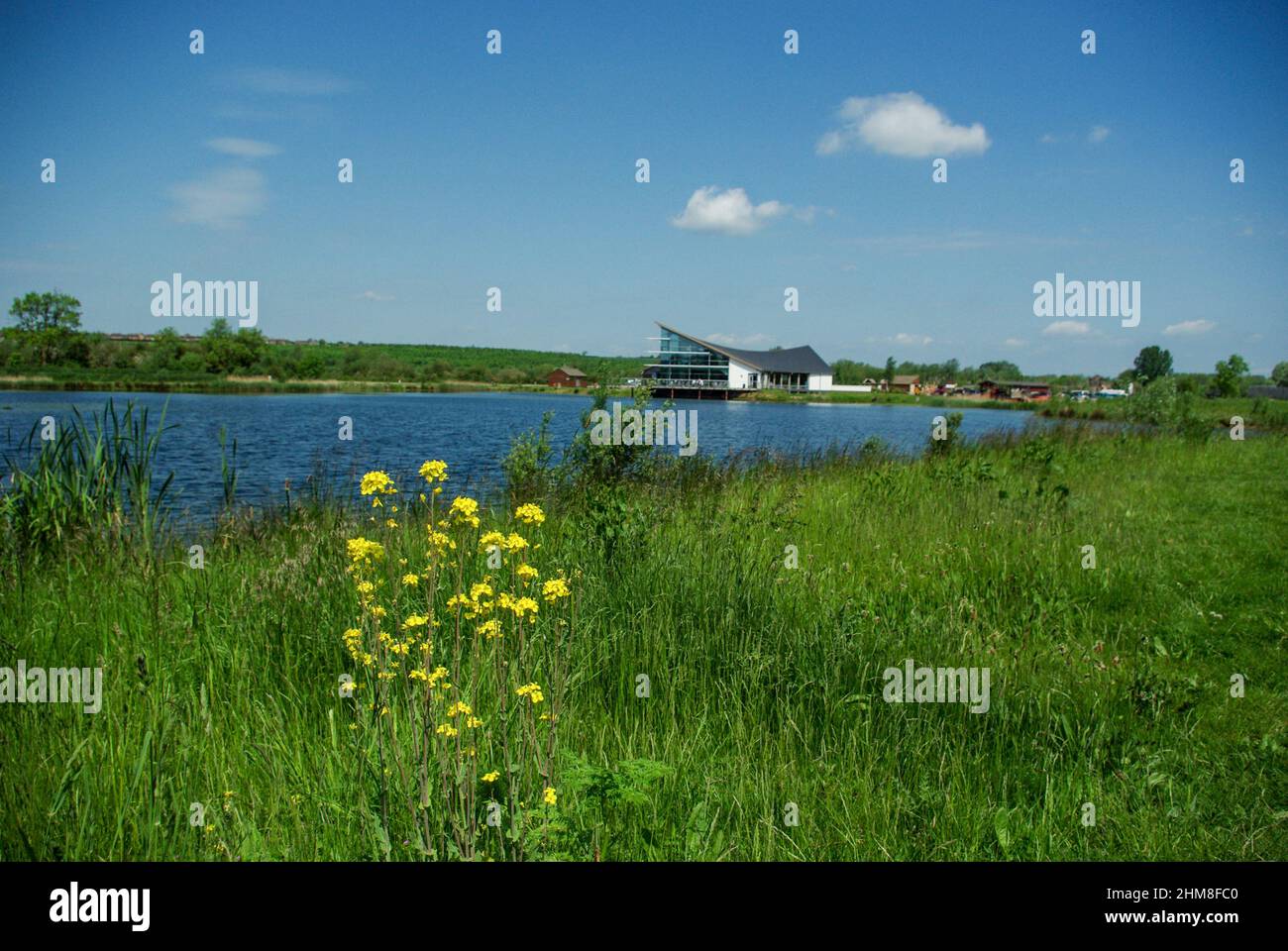 Summer view over Stanwick Lakes, a visitor attraction and nature ...