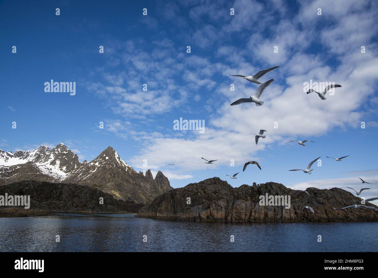 Fjord landscape in Lofoten Stock Photo - Alamy