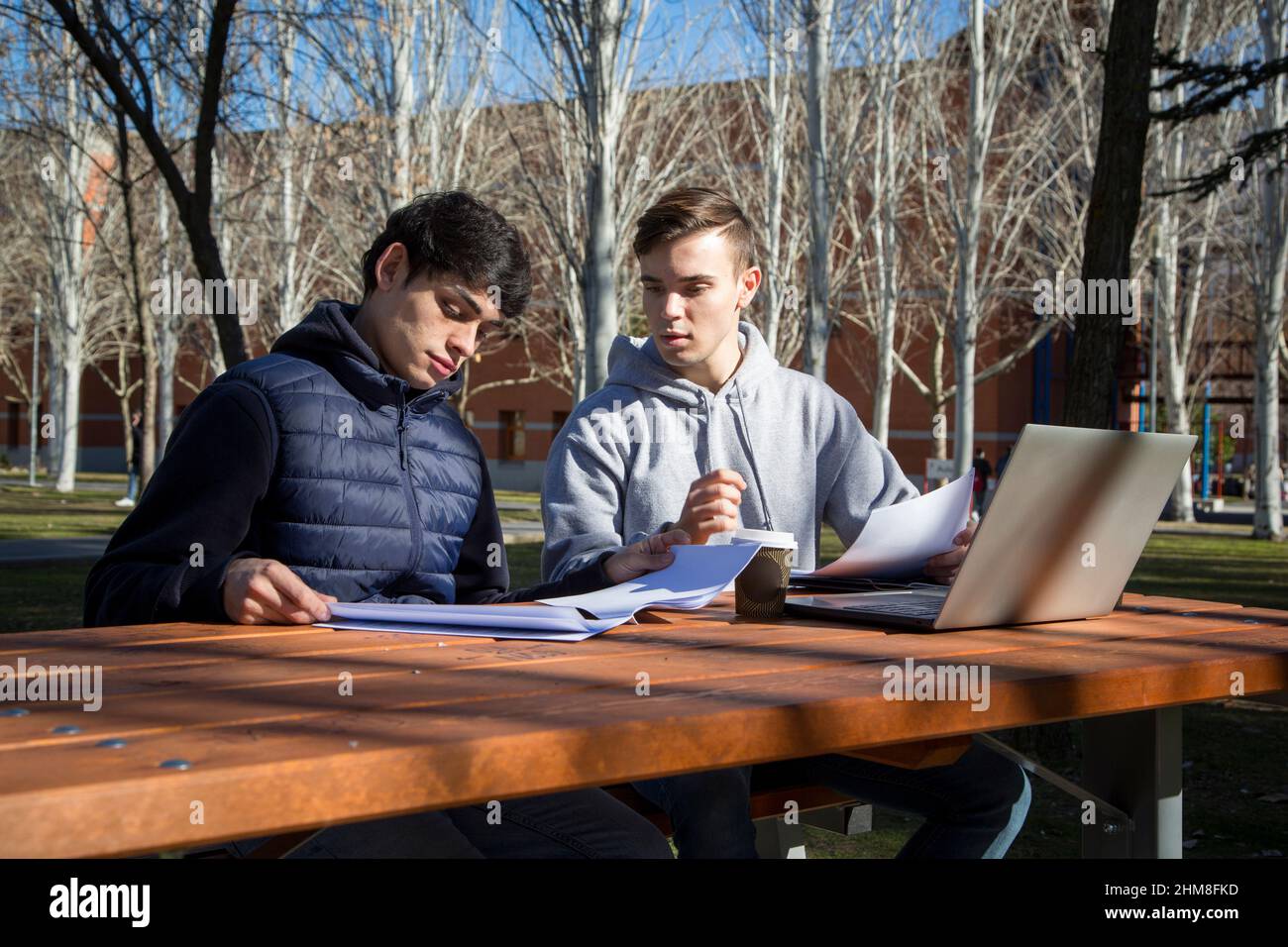 Two young university students studying in a university garden with a ...