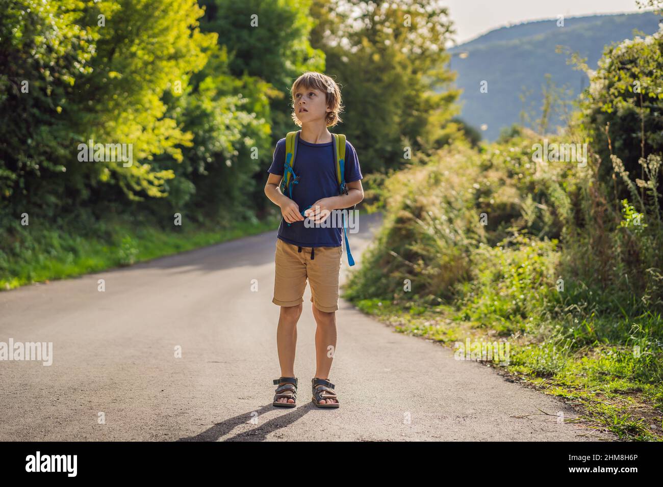 Young boy walking on a hiking pathway in a wood Stock Photo - Alamy
