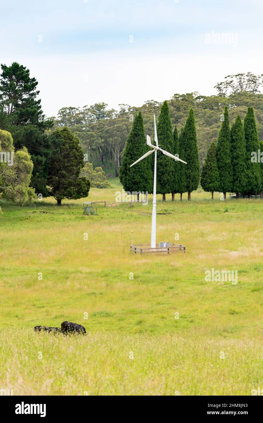 Lush green paddock hi-res stock photography and images - Alamy