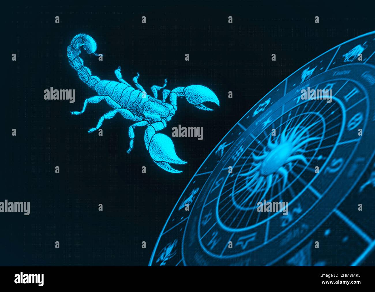 Vector scorpion hi-res stock photography and images - Alamy