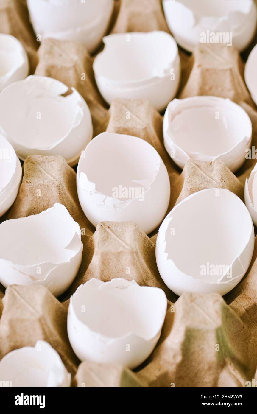 Cracked egg shells in a carton container. Close up Stock Photo - Alamy