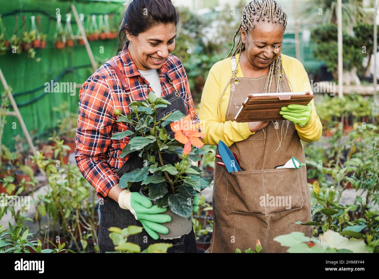 Women working inside greenhouse garden - Nursery and srping concept ...