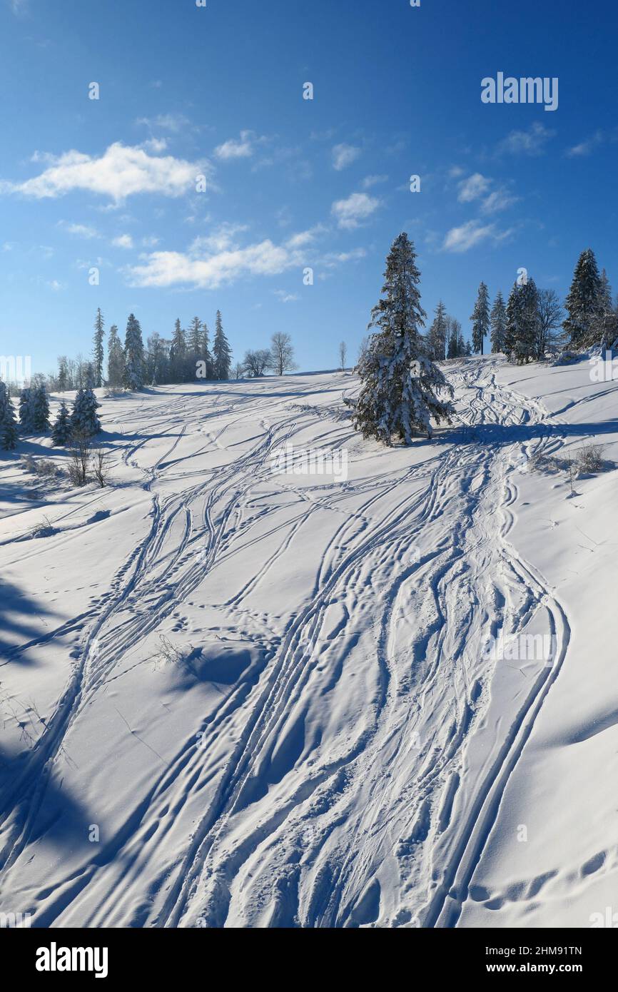 Fresh snow on ski slope at Bialka Tatrzanska in Poland. Scenic winter ...