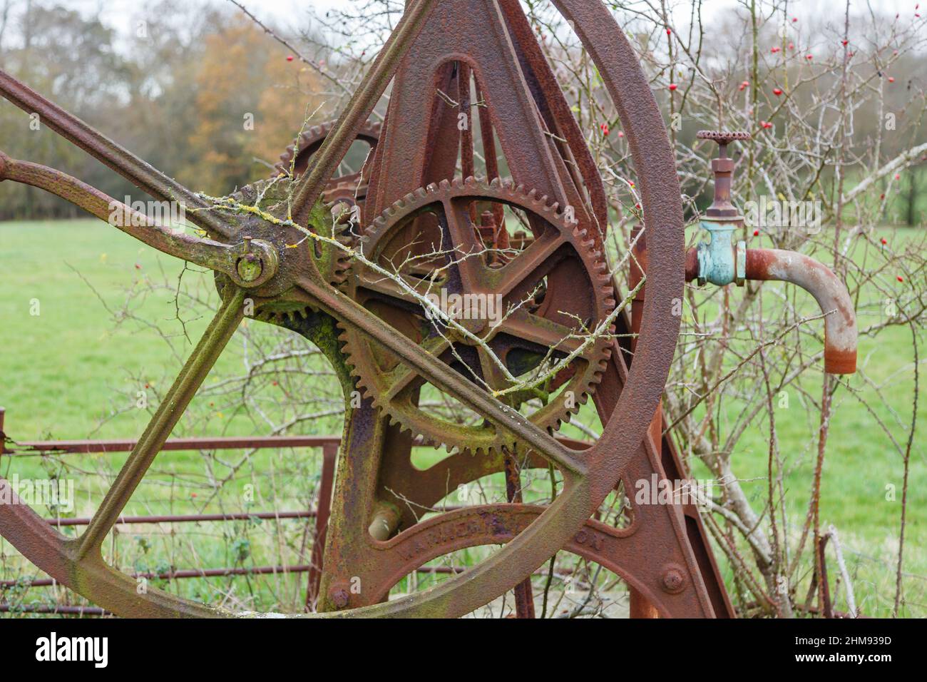 Vintage cogs and wheels of disused, rusting agricultural farm machinery ...