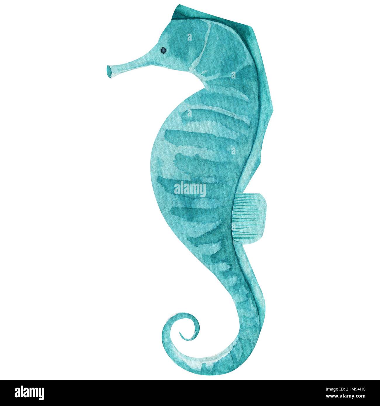 Painting underwater hi-res stock photography and images - Alamy