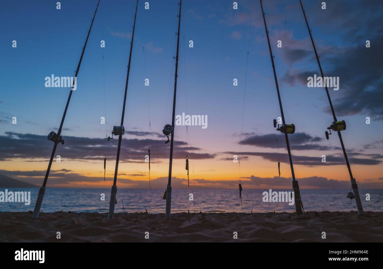 Fishing rods held in fishing rod holders. The rods are bent from the ...