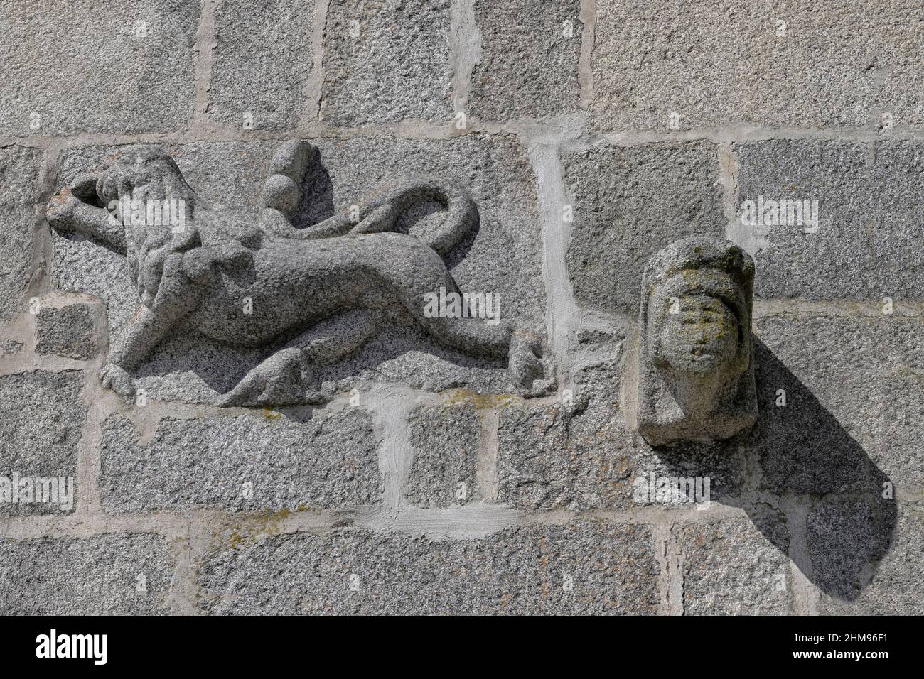 Carvings on the façade of the Black Cat or Lion of Judah House ...