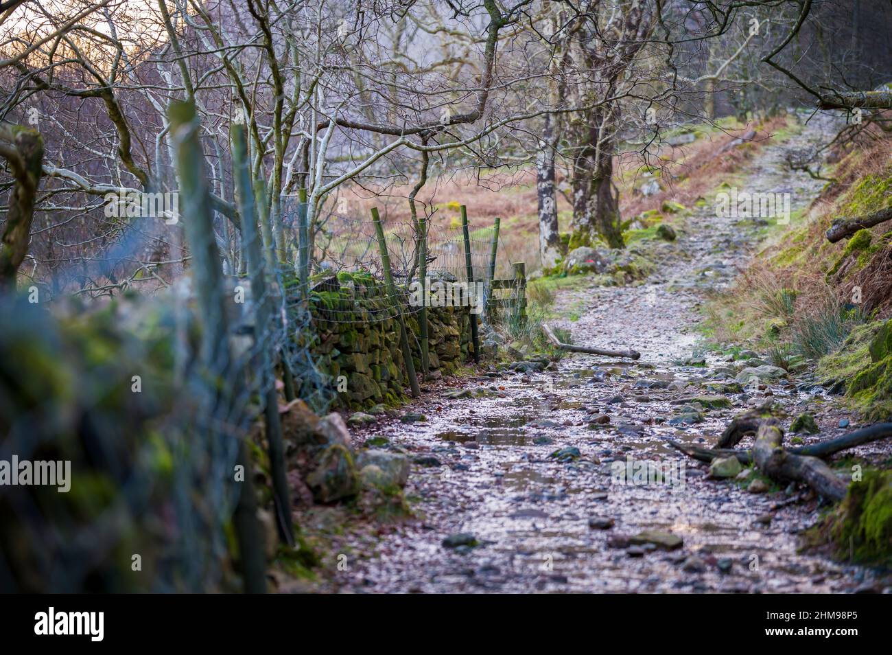 Lake District walking path Stock Photo - Alamy