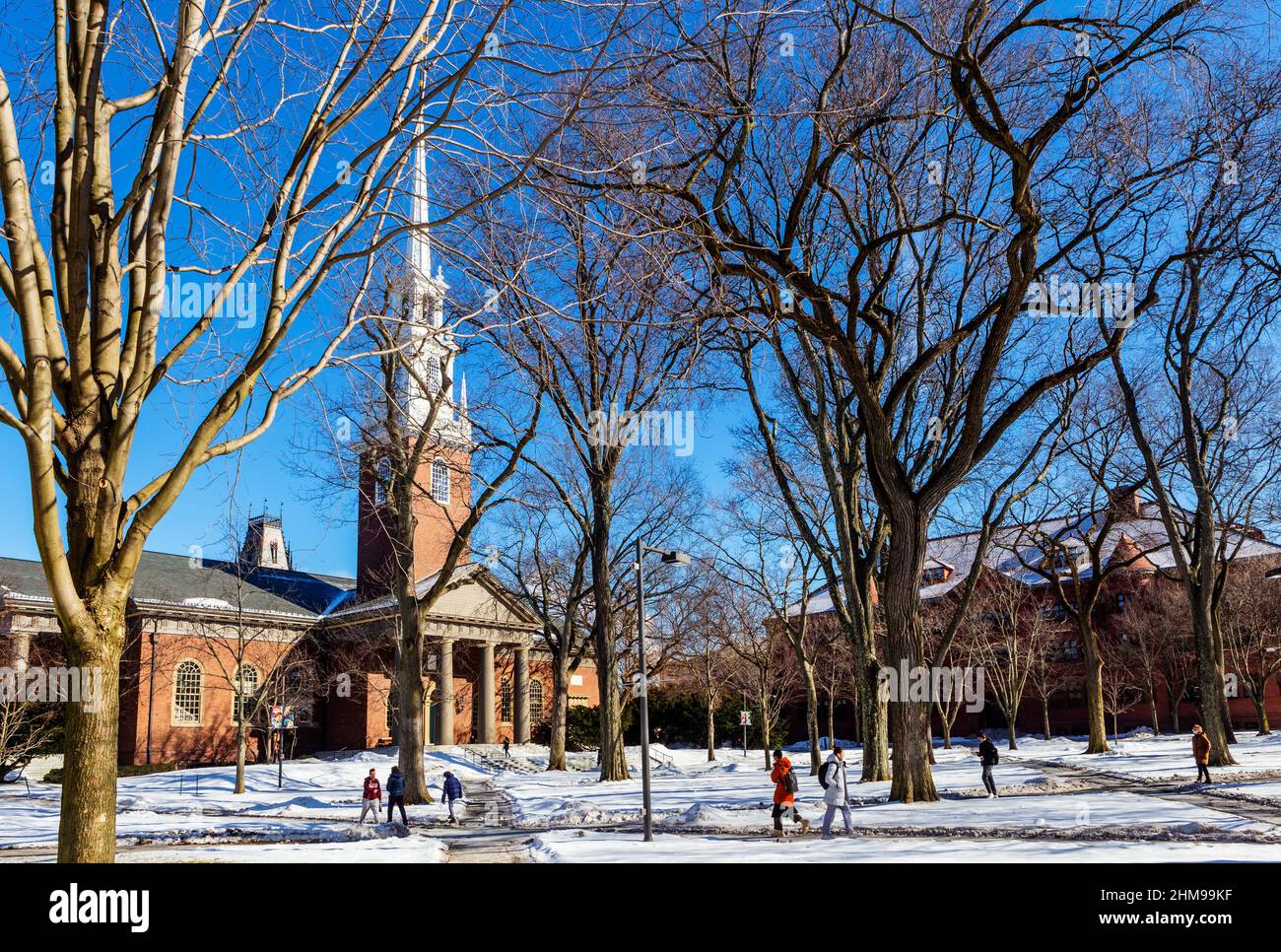 Harvard Campus Winter
