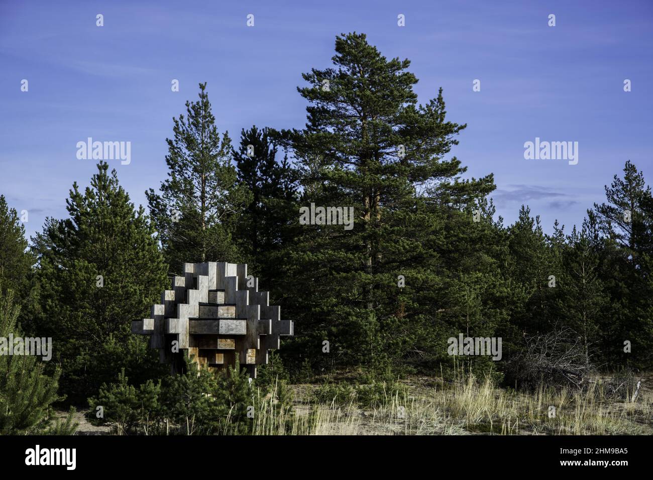 Wooden cube in forest Stock Photo - Alamy