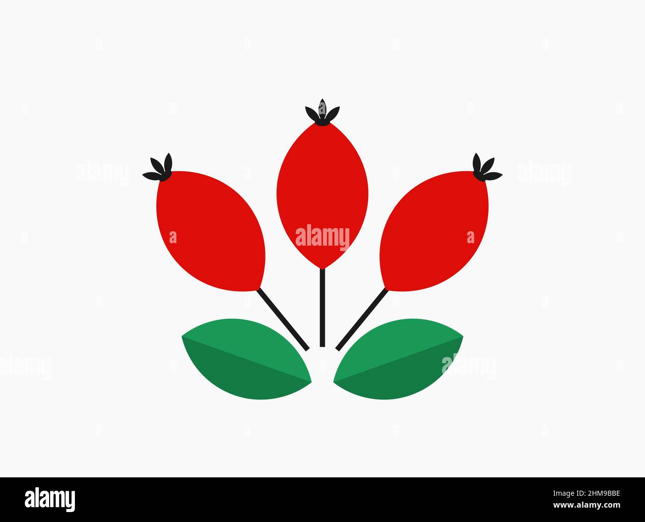 Rose hip branch icon. Vector illustration Stock Vector Image & Art - Alamy