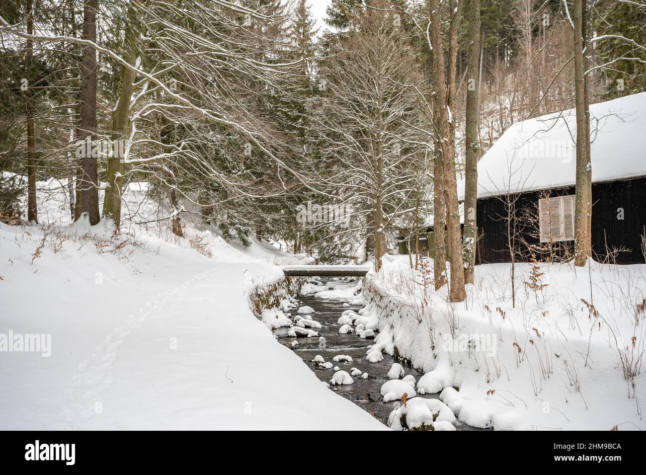 winter snowy forest in a mountain landscape with a stream and a cottage ...