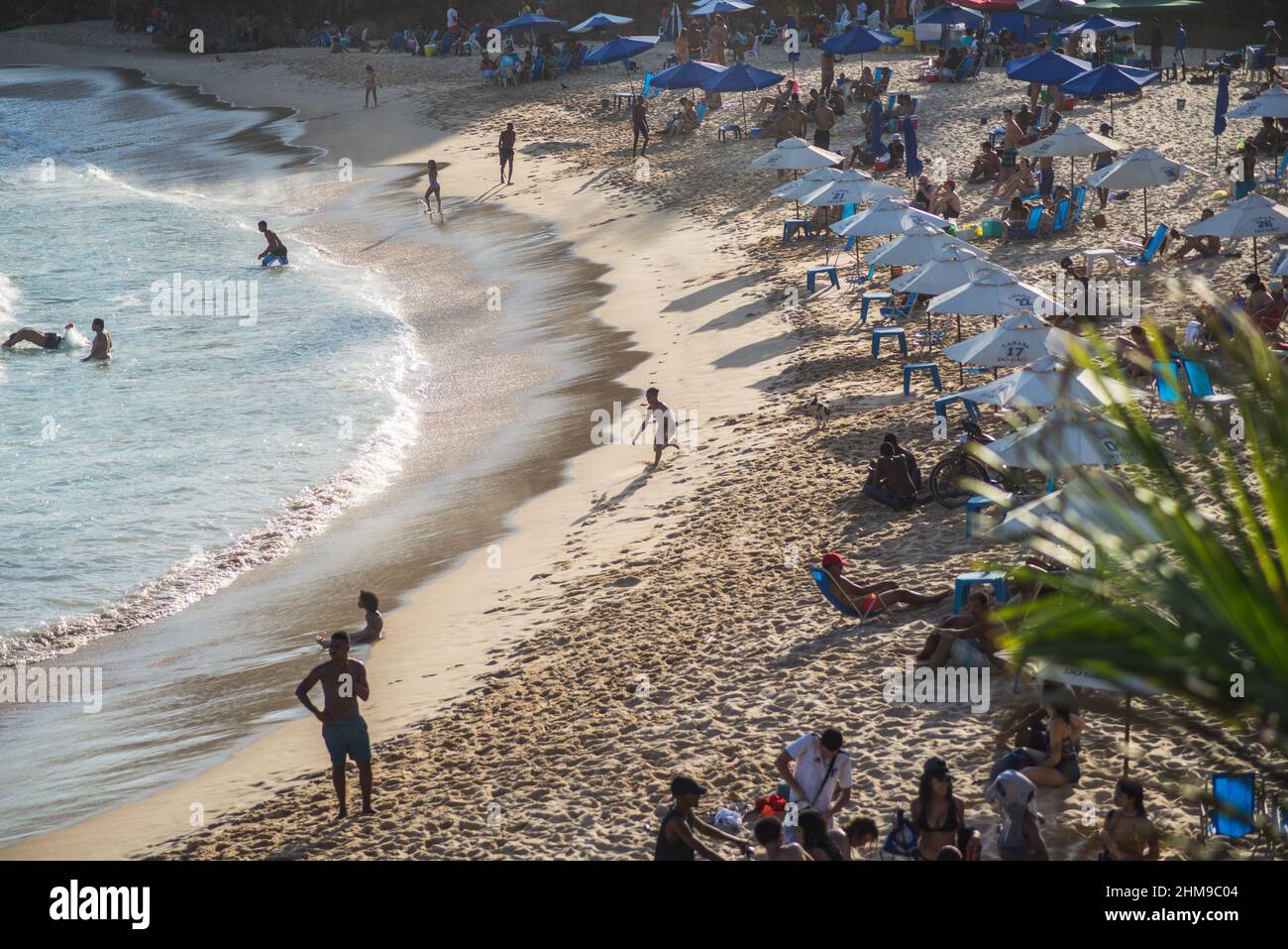People run on beach in hi-res stock photography and images - Alamy