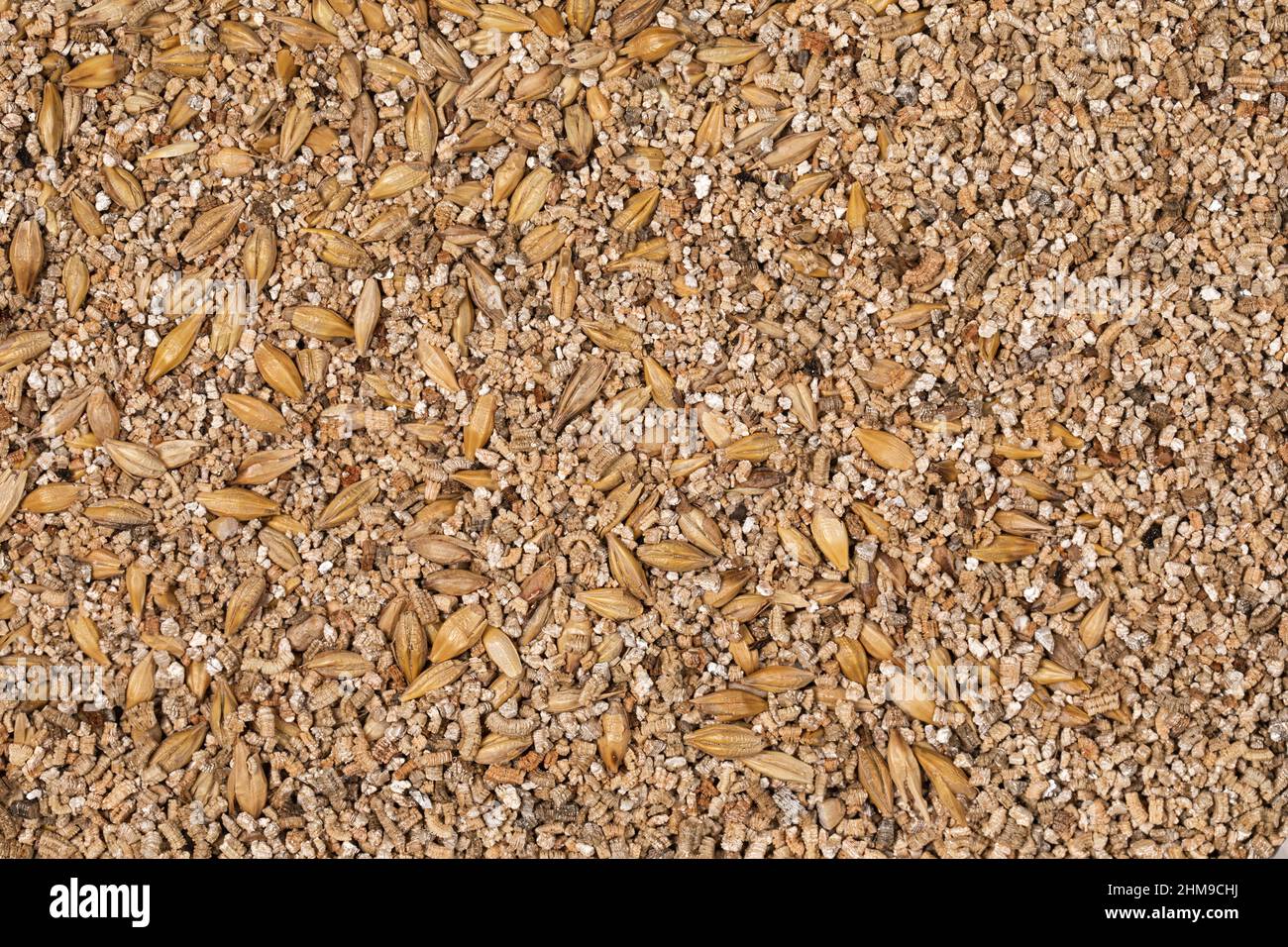 Abstract green organic macro particle hi-res stock photography and ...