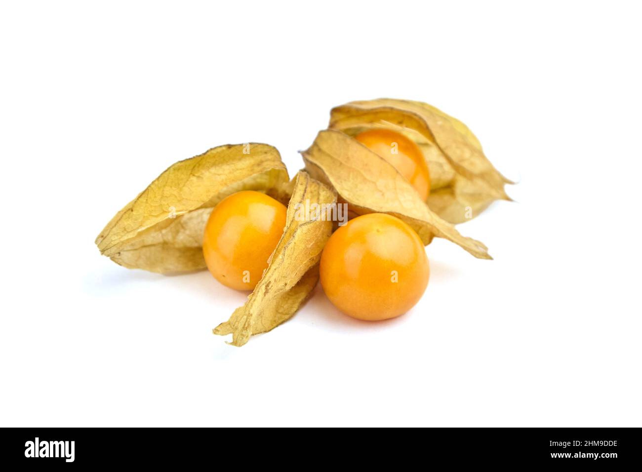 Physalis peruviana (groundcherries, Cape gooseberry, husk tomatoes ...
