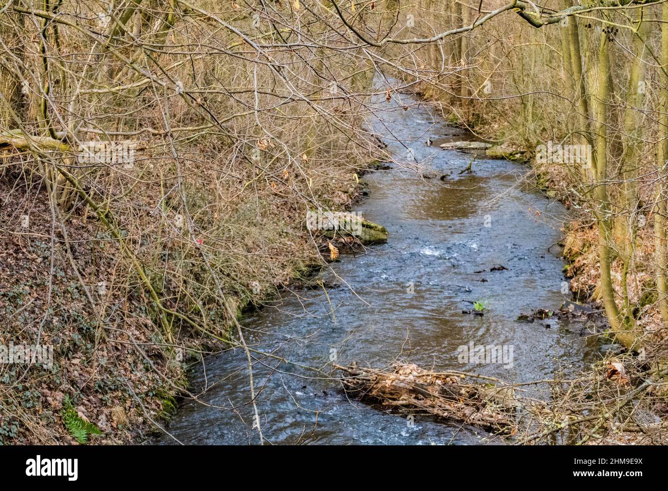 Fluss creek hi-res stock photography and images - Alamy