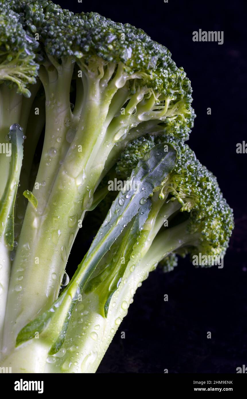 Macro Image of Wet Brocoli on Dark Background Vertical Stock Photo - Alamy