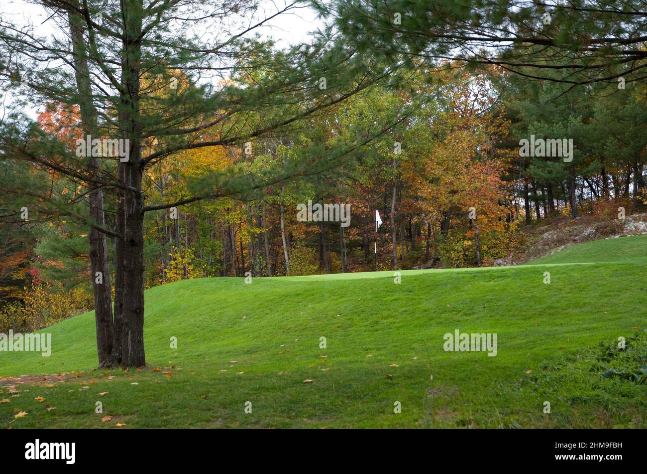 Golf Scene in the Forest During Fall Season Horizontal Stock Photo - Alamy