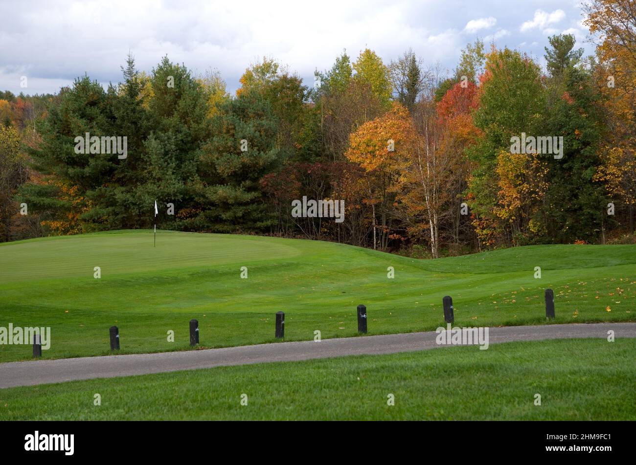 Golf Scene in the Forest During Fall Season Horizontal Stock Photo - Alamy