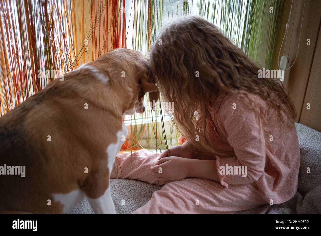 little cute girl hugs a beagle dog sitting on the windowsill Stock ...