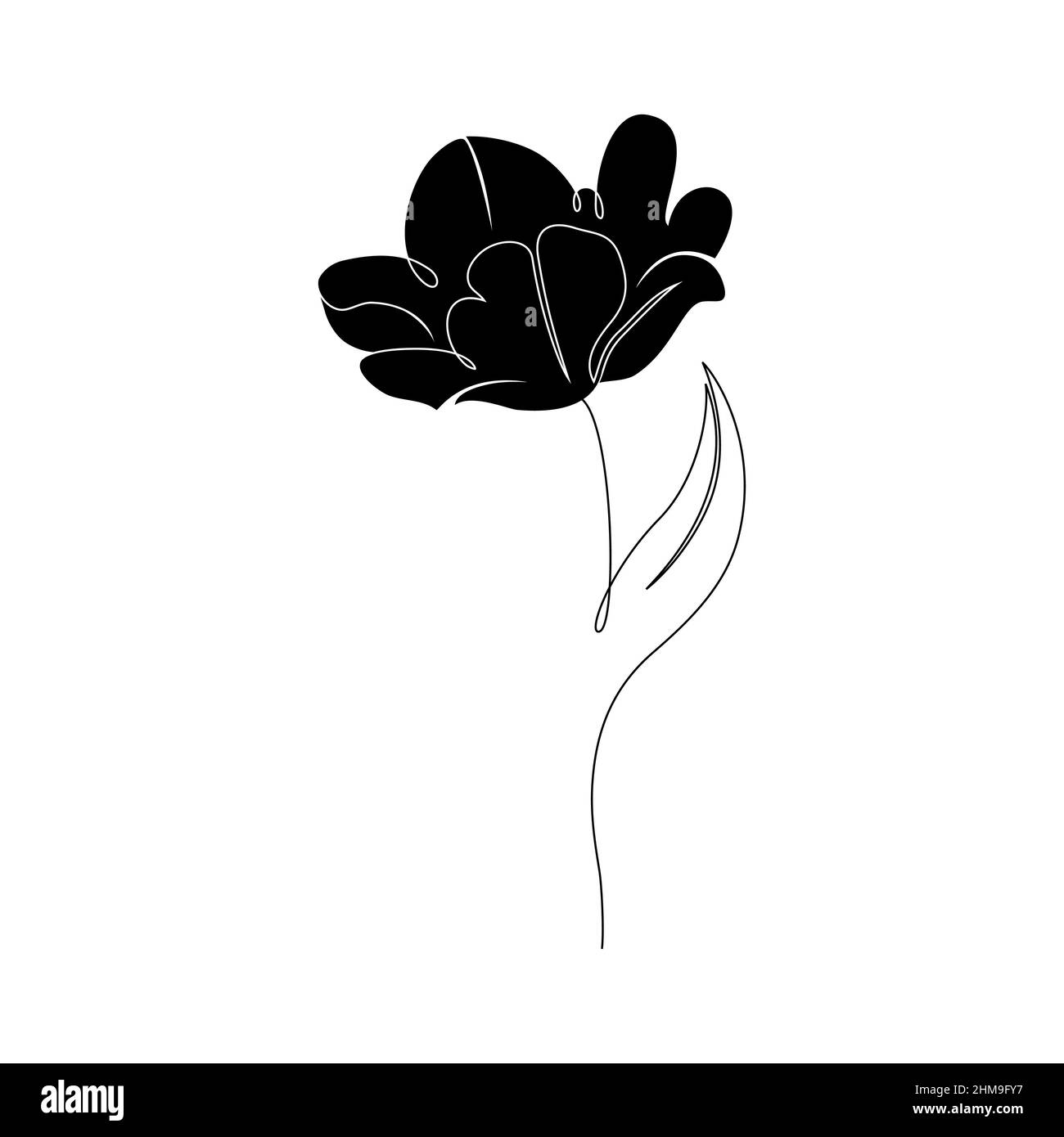 Tulip flower one continuous Stock Vector Images - Alamy