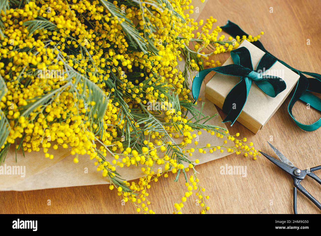 Stylish mimosa bouquet and gift box on wooden background. Happy womens ...