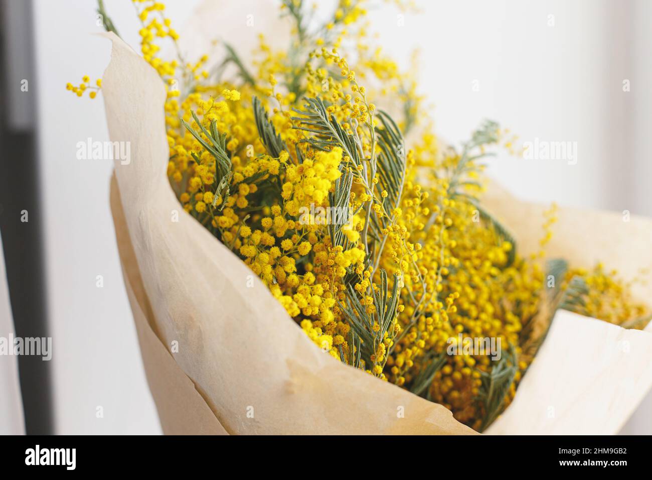 Stylish mimosa bouquet on white background. Happy womens day and Happy ...