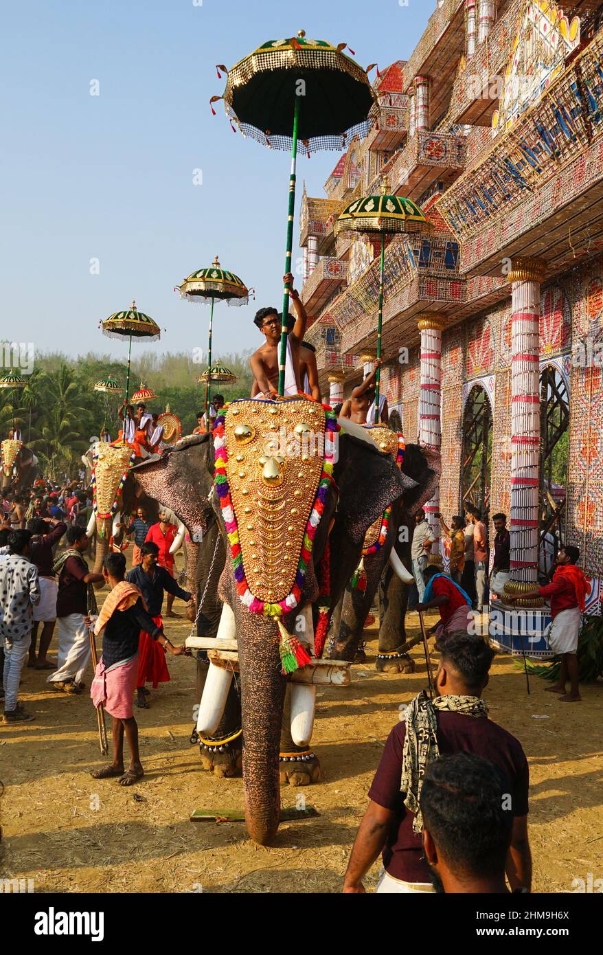 Elephant at Trichur, Pooram festival Kerala, India Stock Photo - Alamy