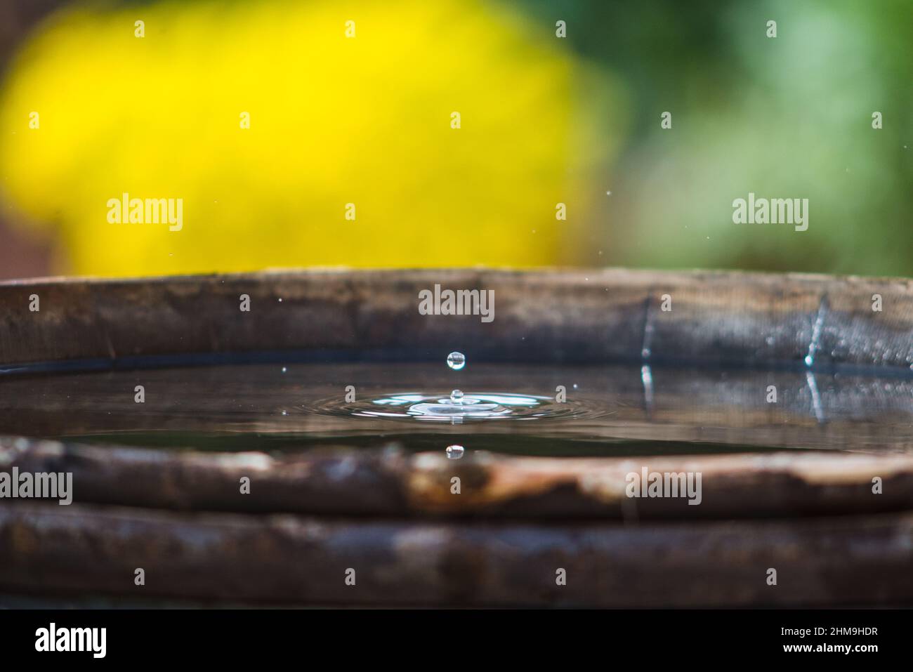 Water droplet in a barrel Stock Photo - Alamy