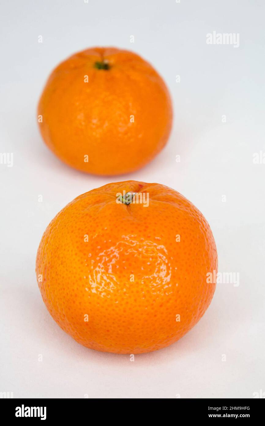 Premium quality orange ripe seasonal turkish tangerines isolated on ...