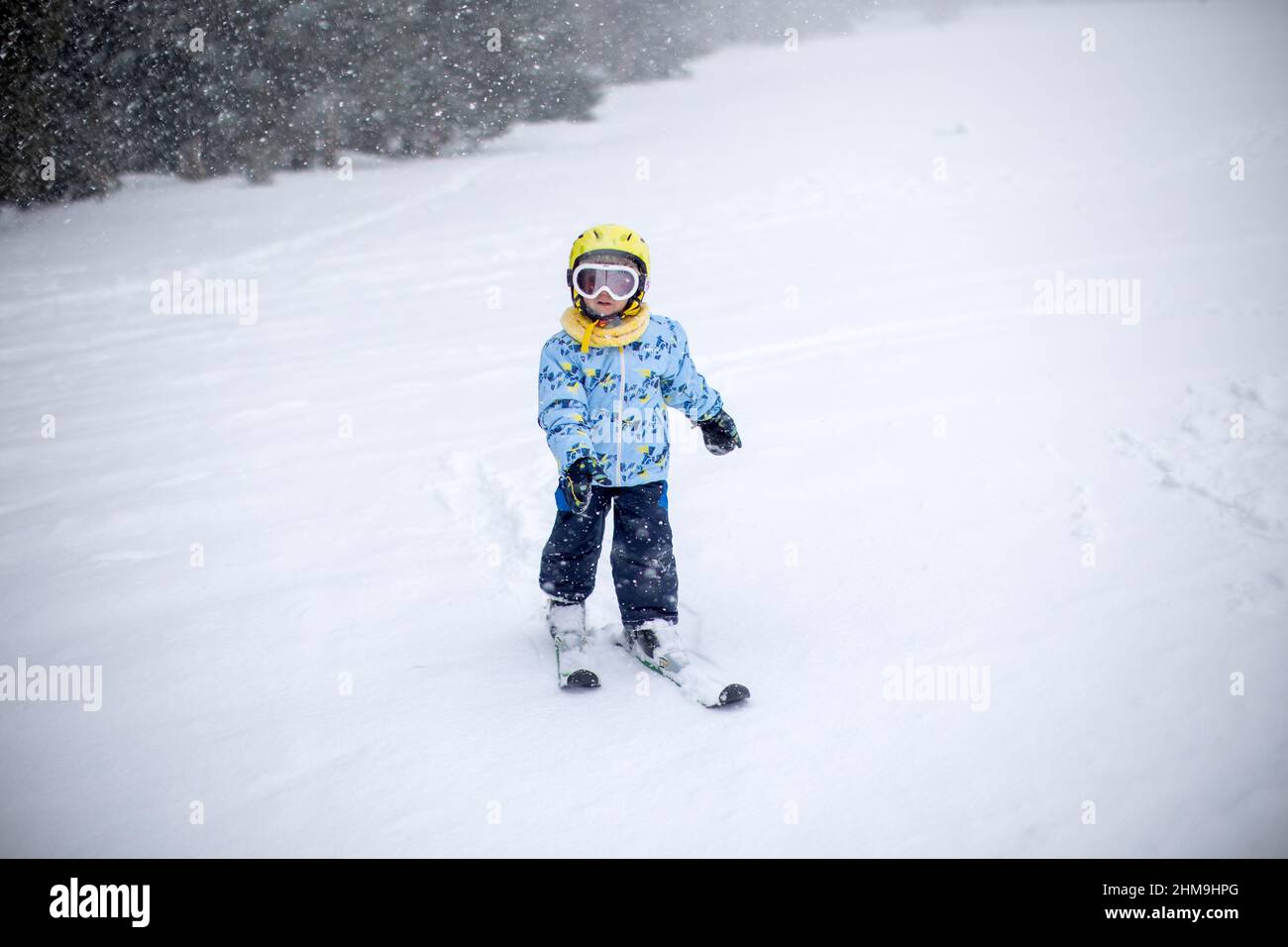 Little toddler boy, preschool child, skiing for the first time on small ...