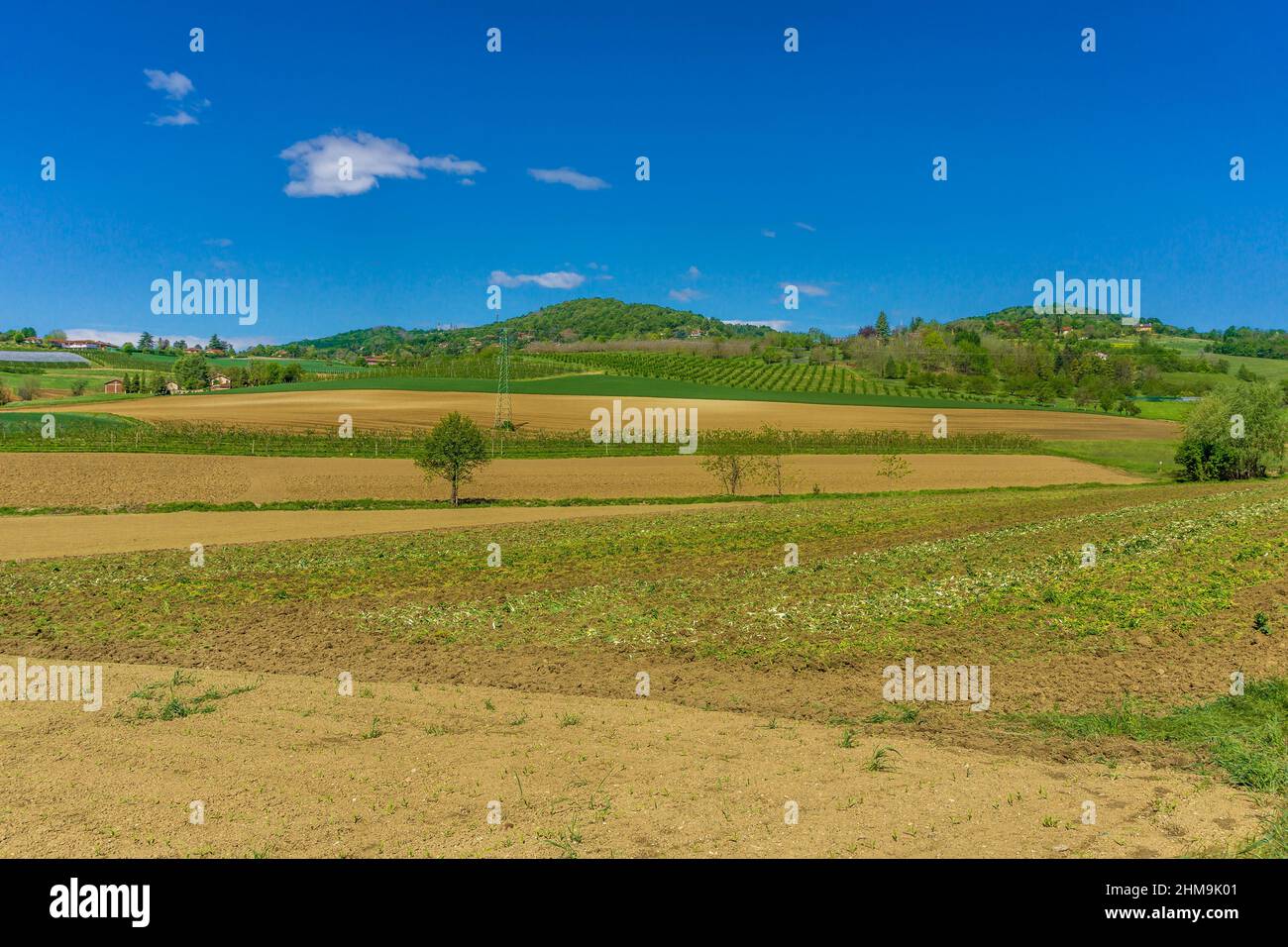 Beautiful green landscape under a light cloudy and blue sky, landscape ...