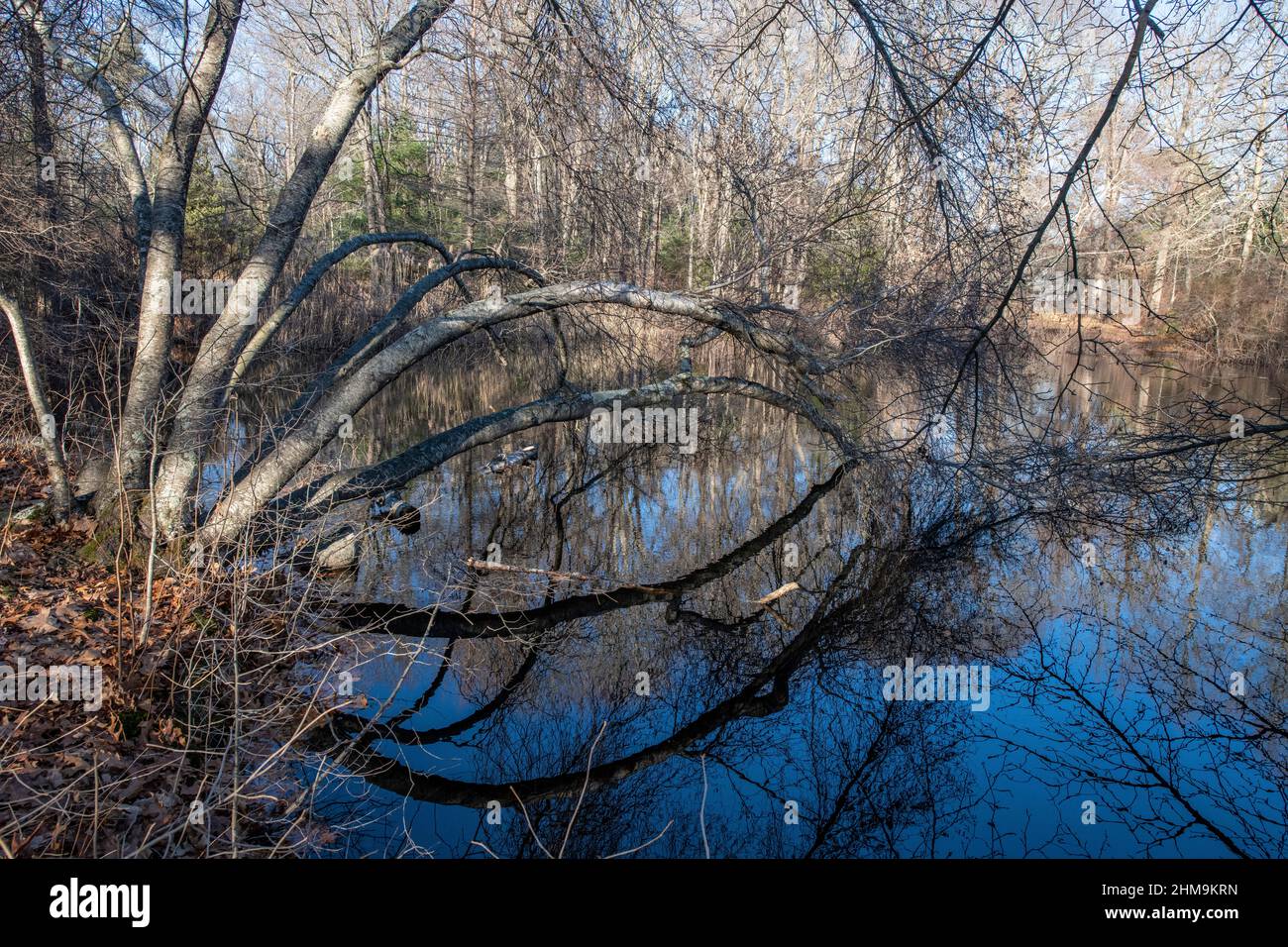Eustis Estate Museum Stock Photo - Alamy