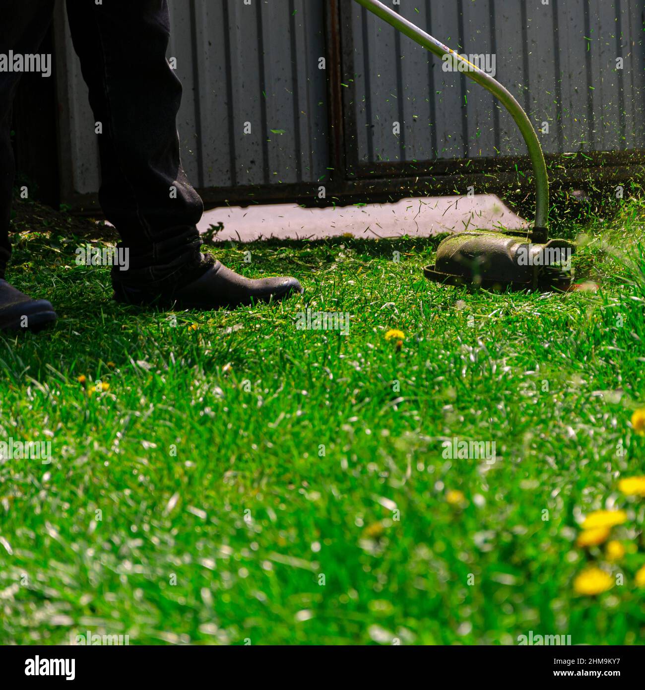 Mowing the grass with a lawn mower. Garden work concept background ...