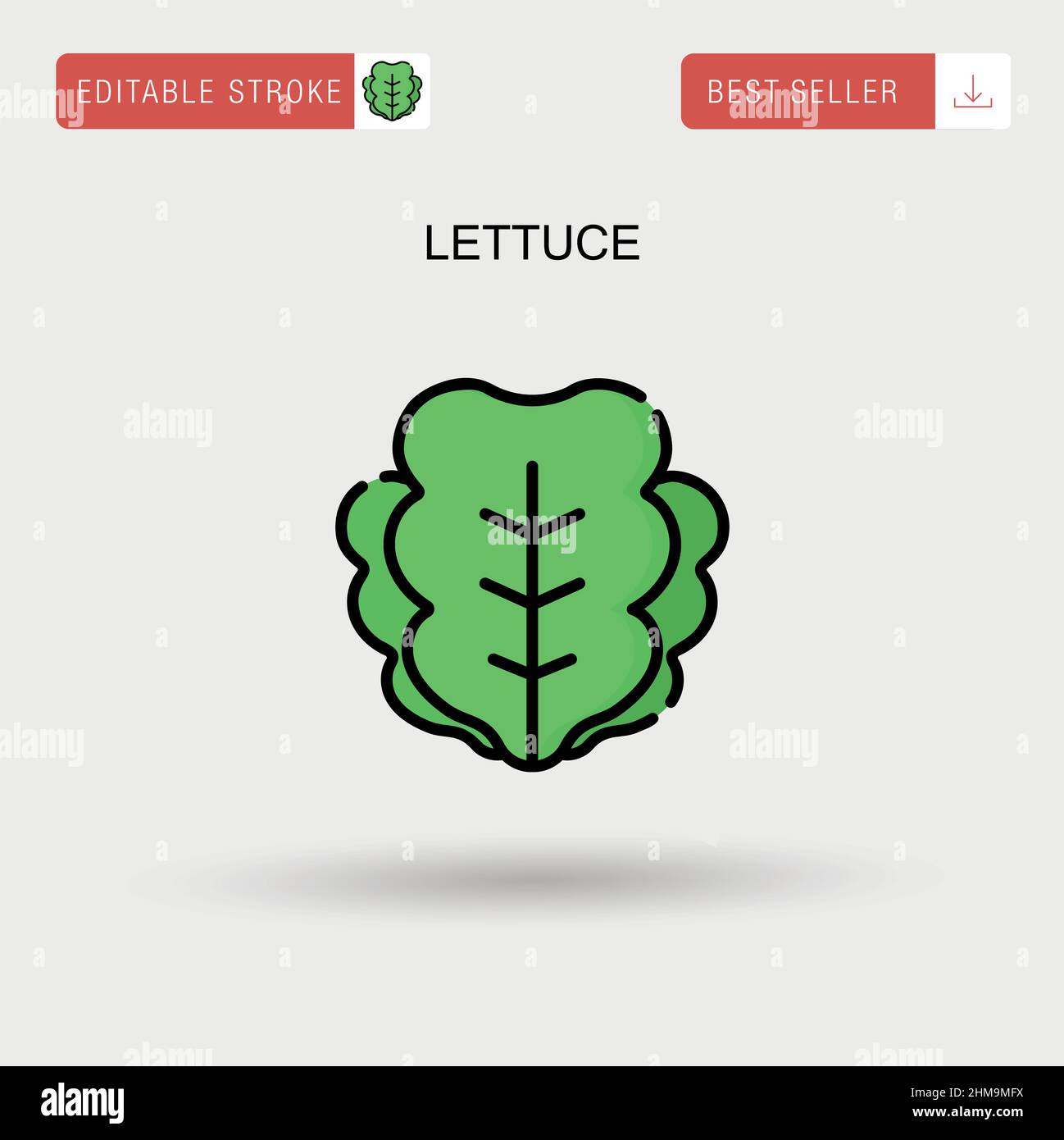 Lettuce garden iceberg Stock Vector Images - Alamy