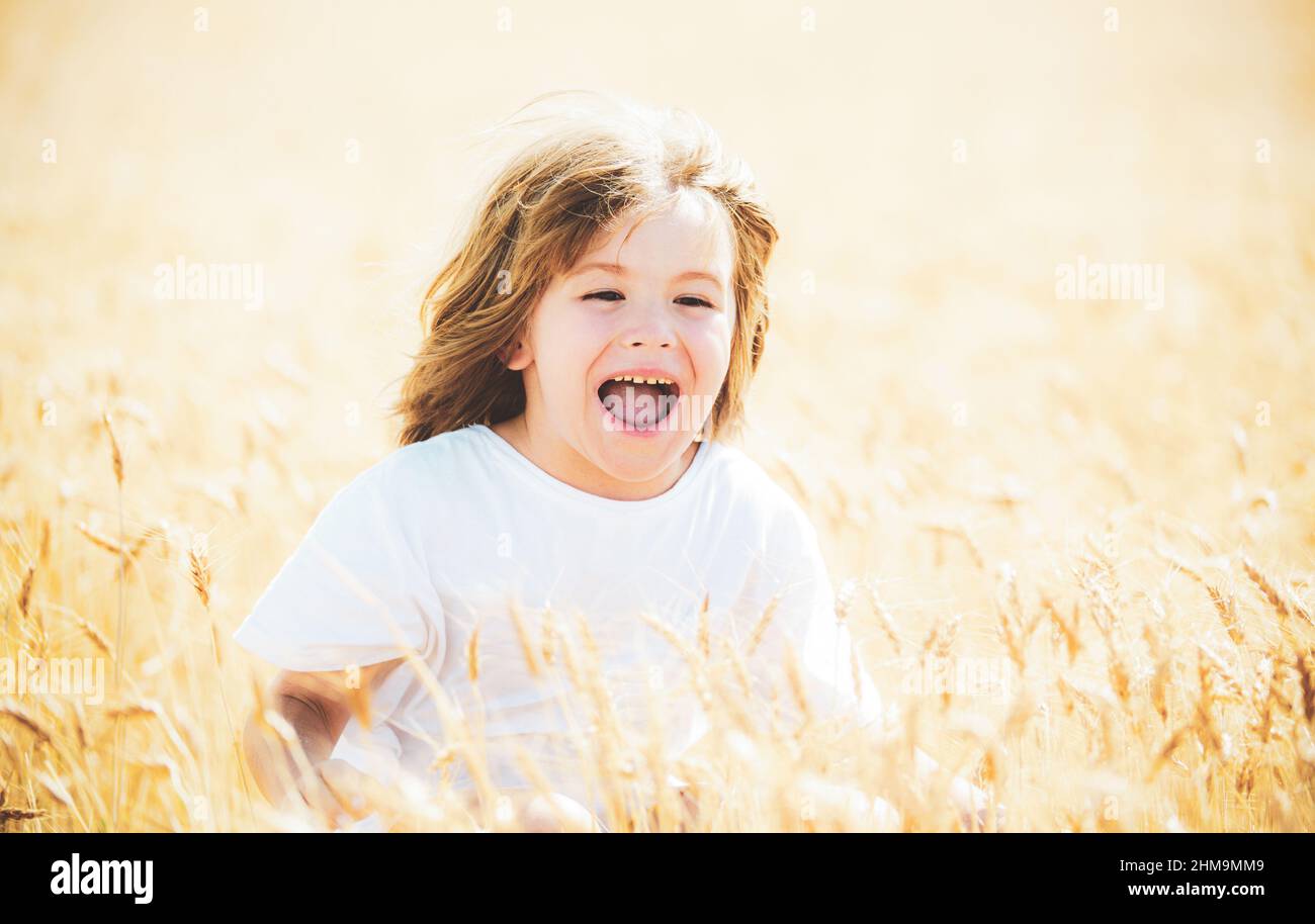 Excited kids on wheat field. Happy boy on wheat field looking up ...