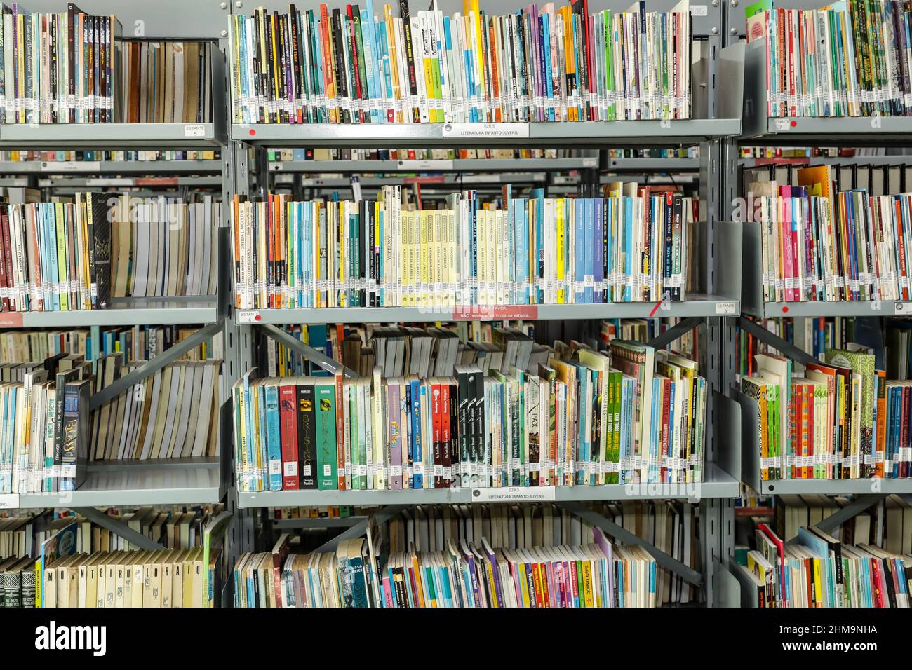 Bookshelf with several books, in multiple colors, lined up in a library ...