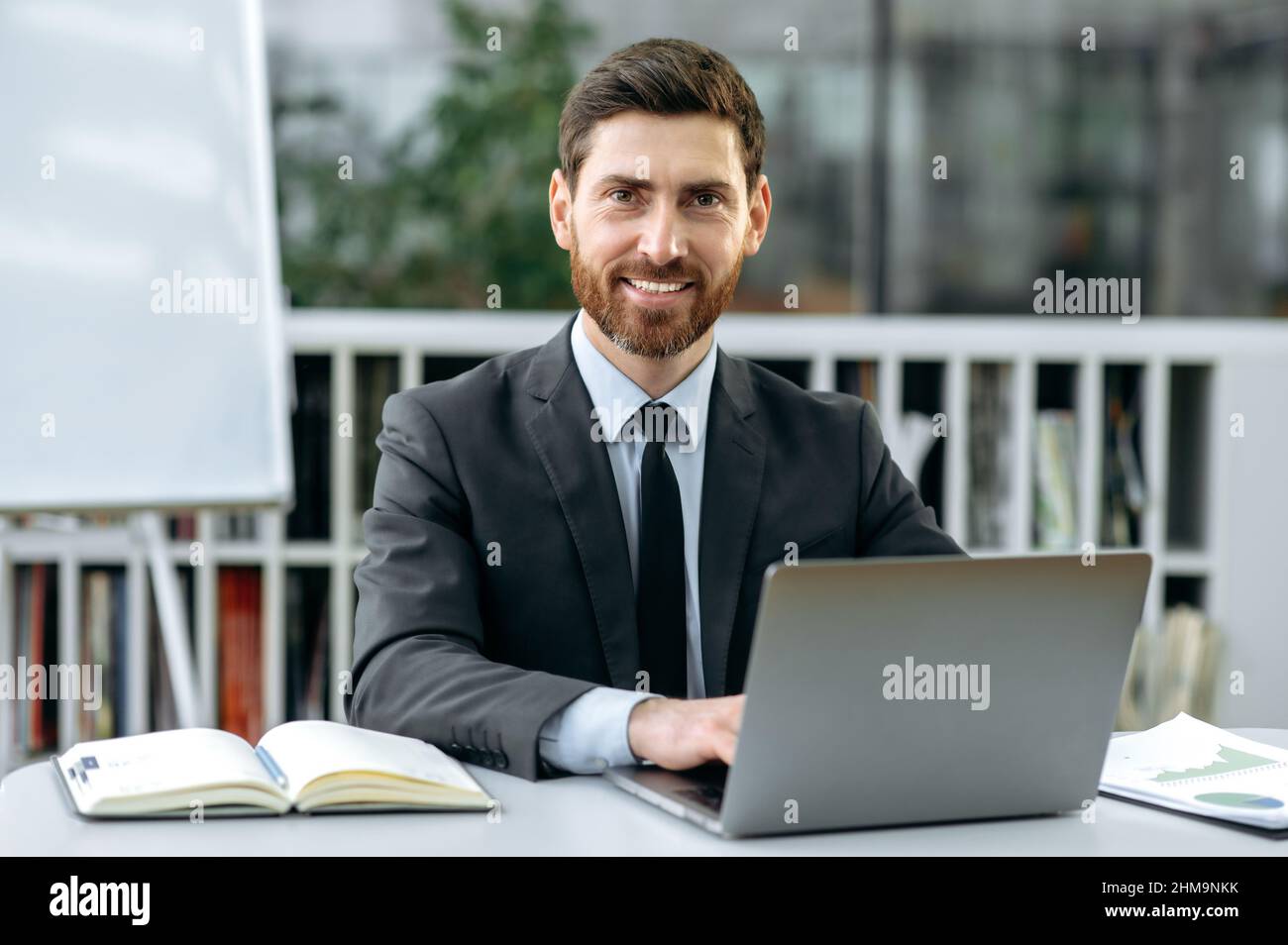 Portrait of an intelligent influential business man, head of the ...