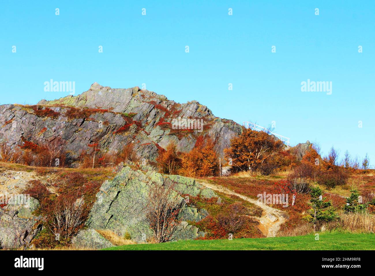 Gibbet tree hi-res stock photography and images - Alamy